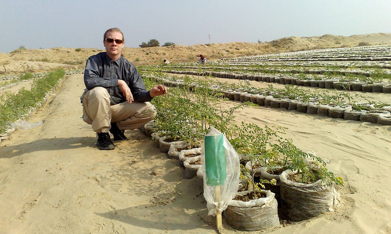 Kan Desert Control gjøre jorden grønn igjen? - DNB Nyheter