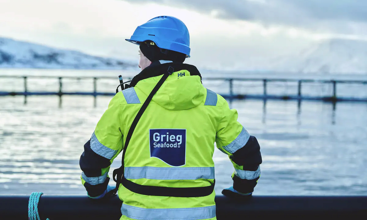 DNB Markets anbefaling på Grieg Seafood, Mowi og Aker BP - DNB Nyheter