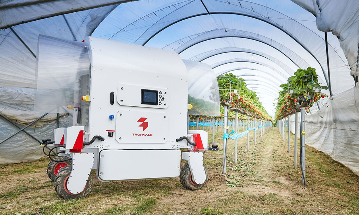 Nattarbeideren som redder jordbær og vindruer - DNB Nyheter